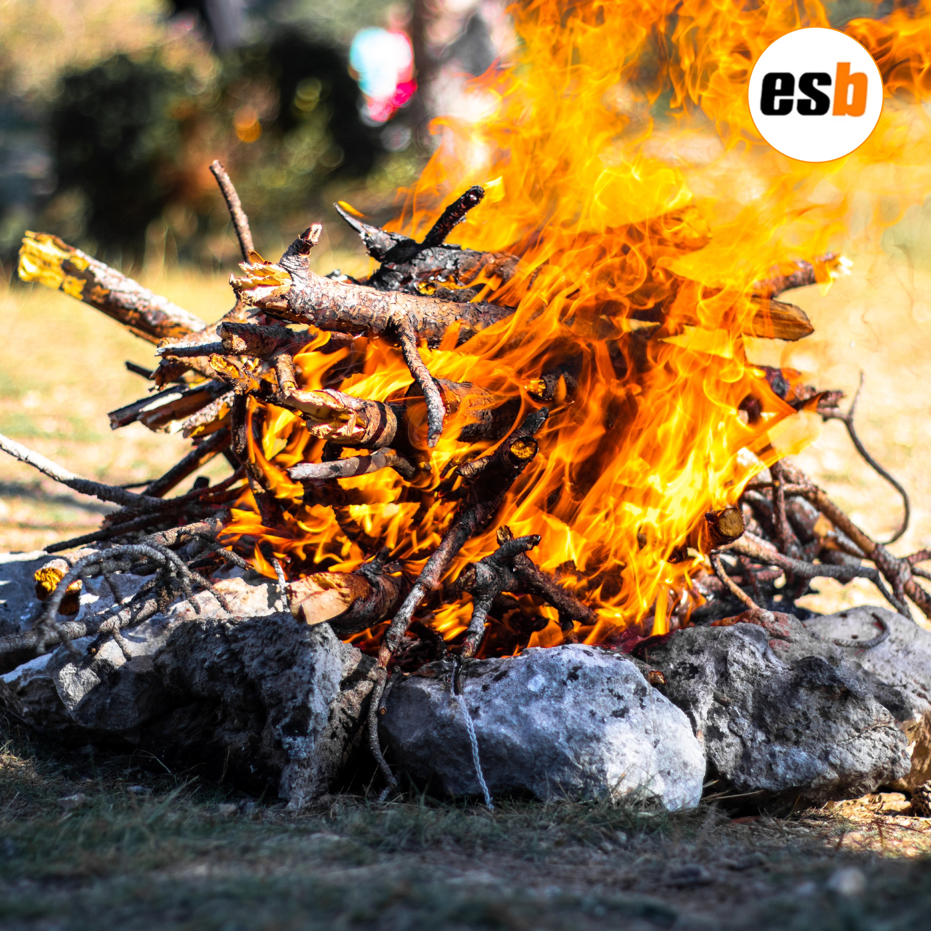 Latest News | What could go wrong at the braai?